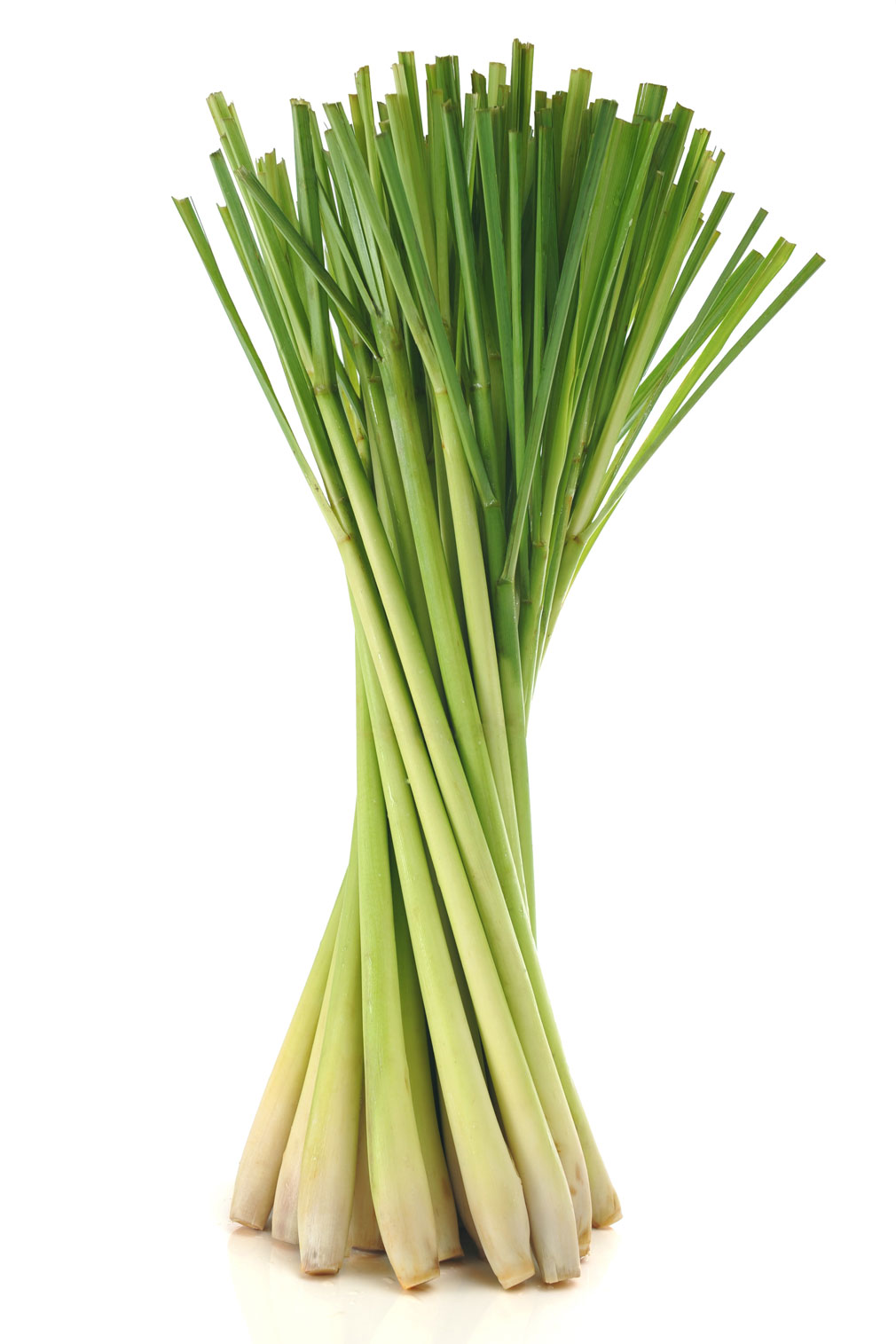 Lemongrass Oil Dōterra Essential Oils