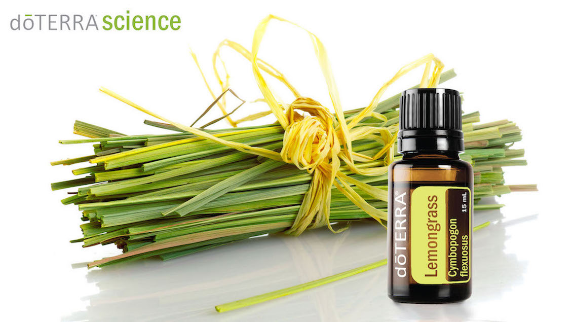 Genetics Of Lemongrass Essential Oil Dōterra Essential Oils